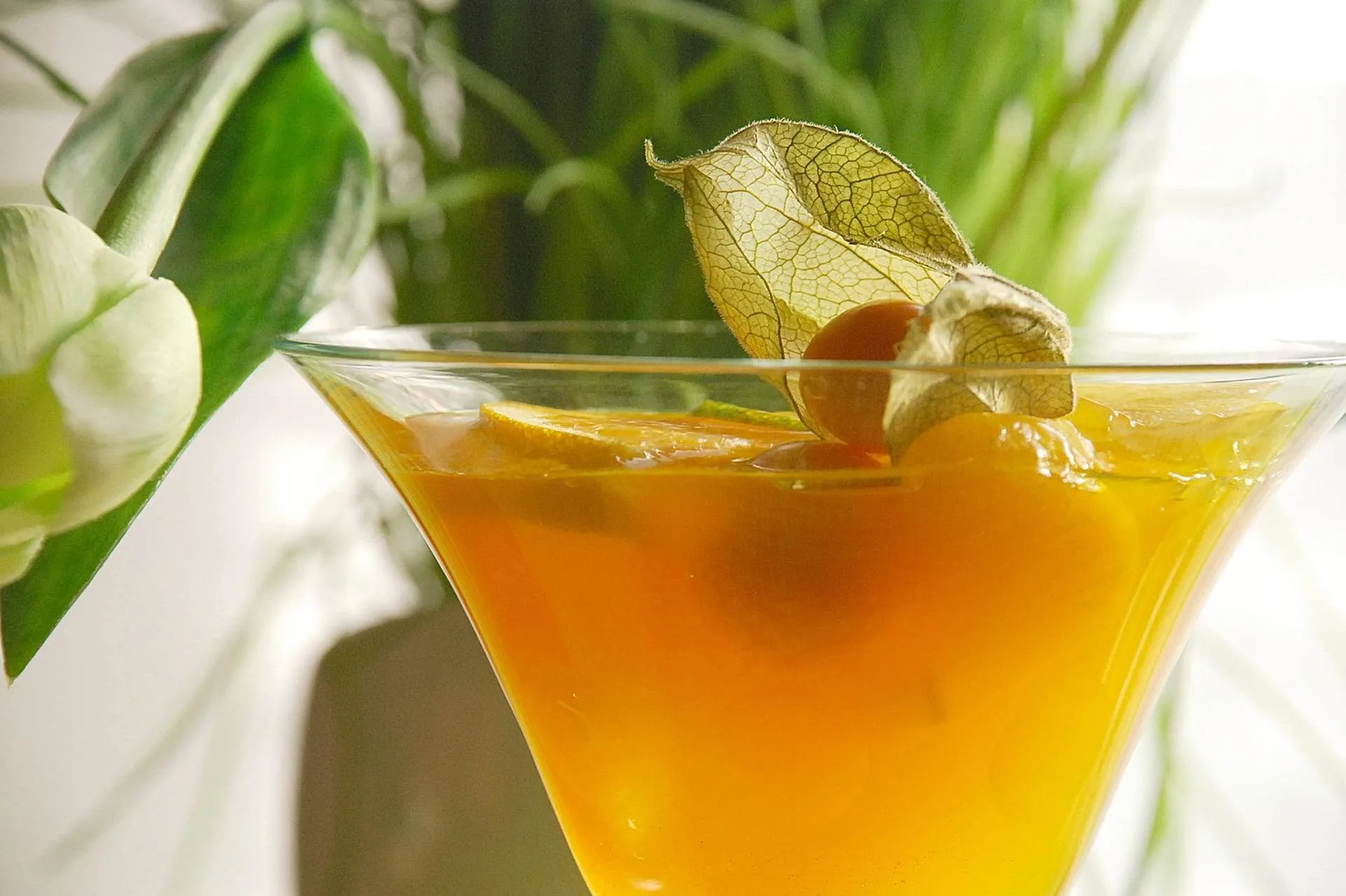 Algi morskie – rodzaje, właściwości i zastosowanie wodorostów :BonaVita ...